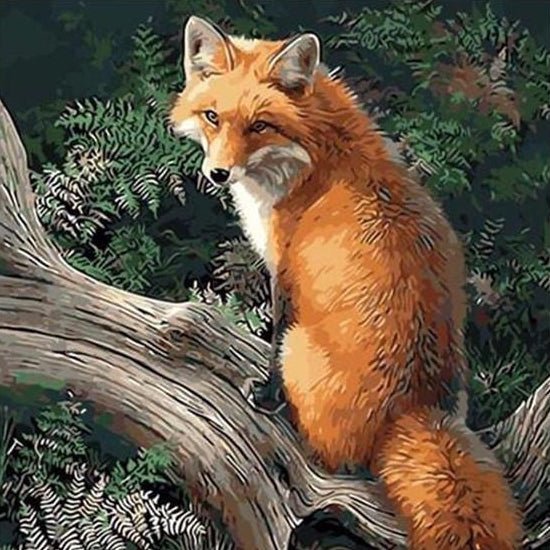 VIVA™ DIY Painting By Numbers - Fox (16"x20" / 40x50cm) – VIVA Paint-by ...